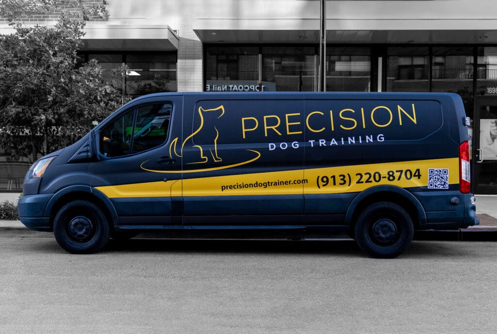 Board and Train - Precision Dog Training