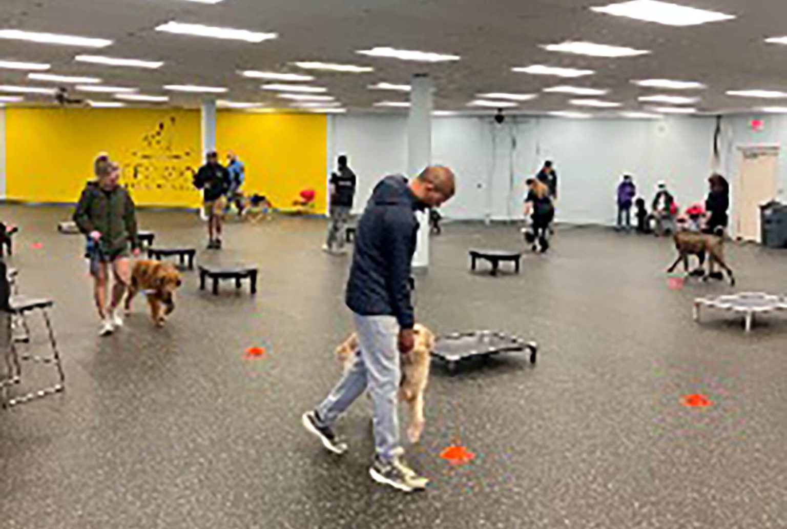 Group Training | Precision Dog Training Academy | Kansas City
