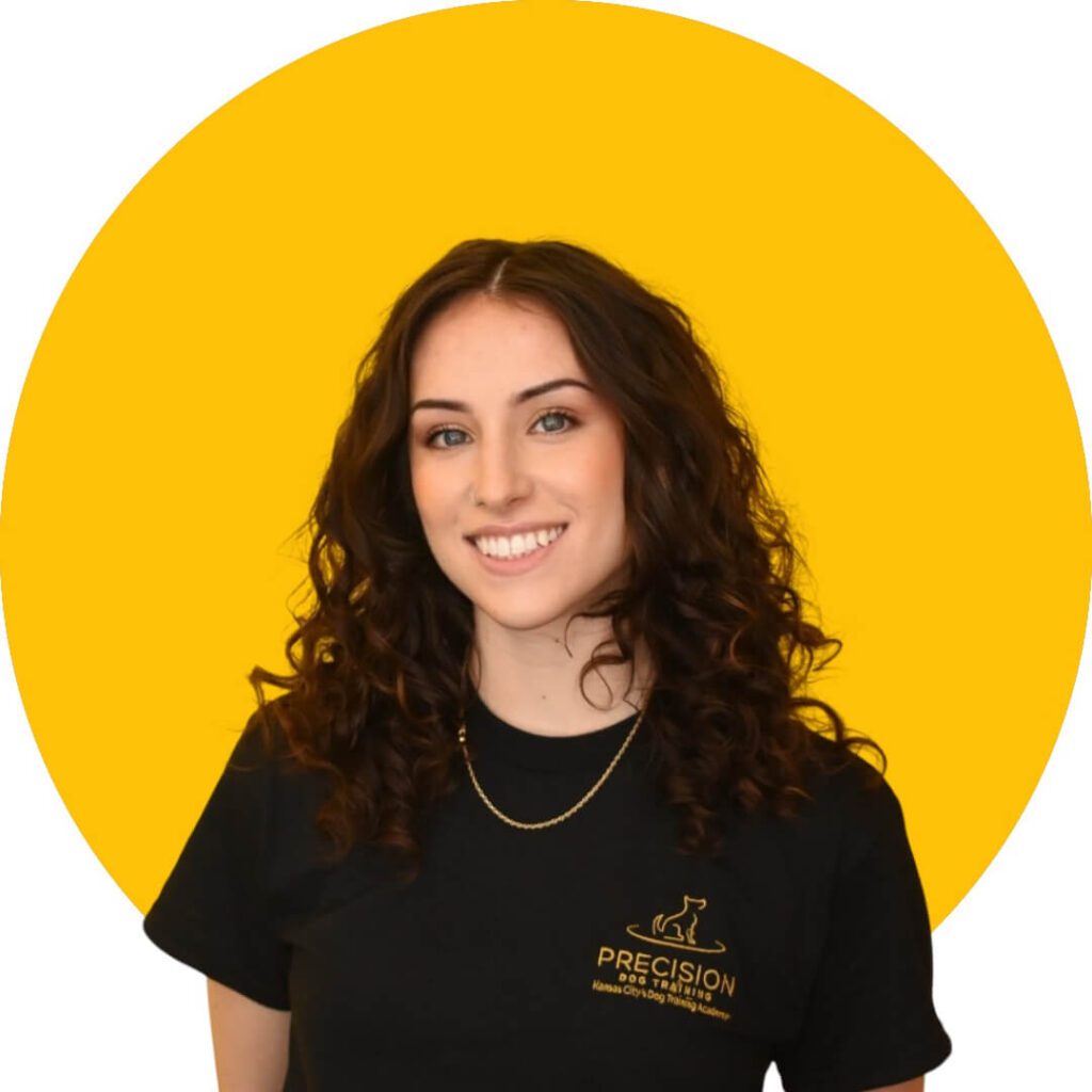 Who We Are | Precision Dog Training | Meet Our Trainers